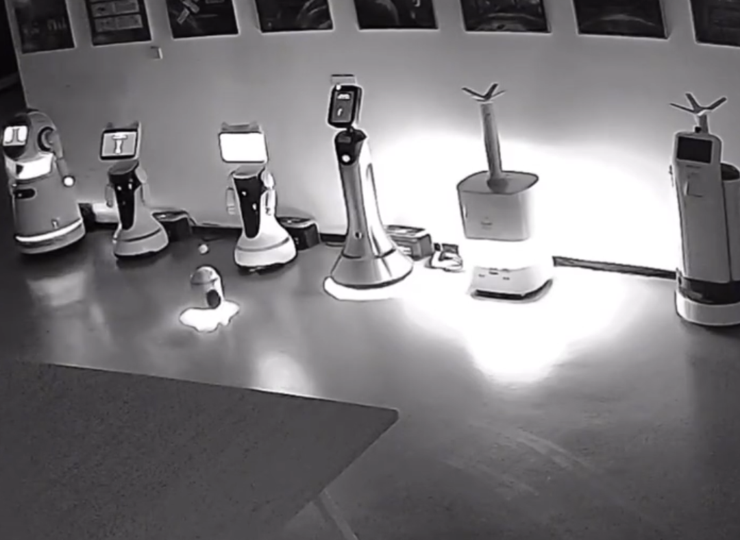 'Follow me home': Robot persuades 12 others to leave Shanghai showroom ...