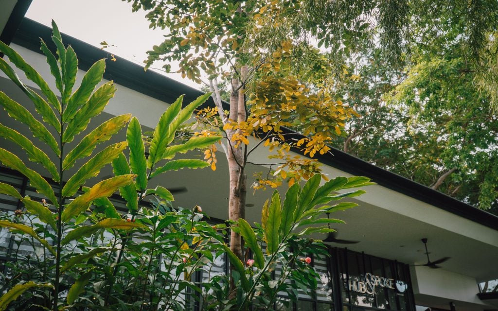 Changi Airport has a plant older than dinosaurs & other fascinating ...