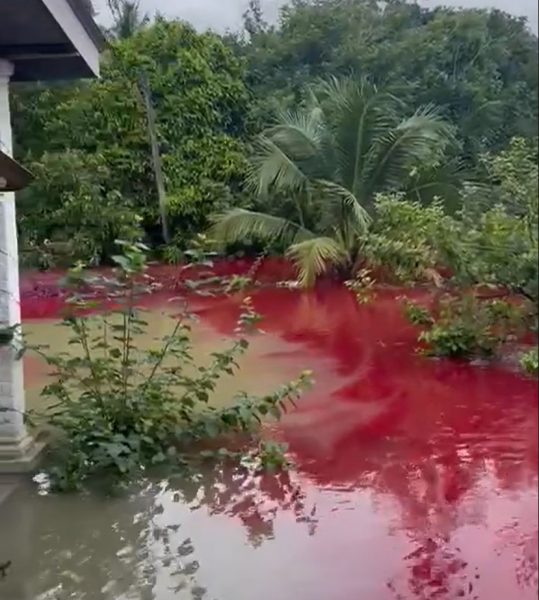 Floodwater in M’sia turns red, reportedly due to food colouring from ...