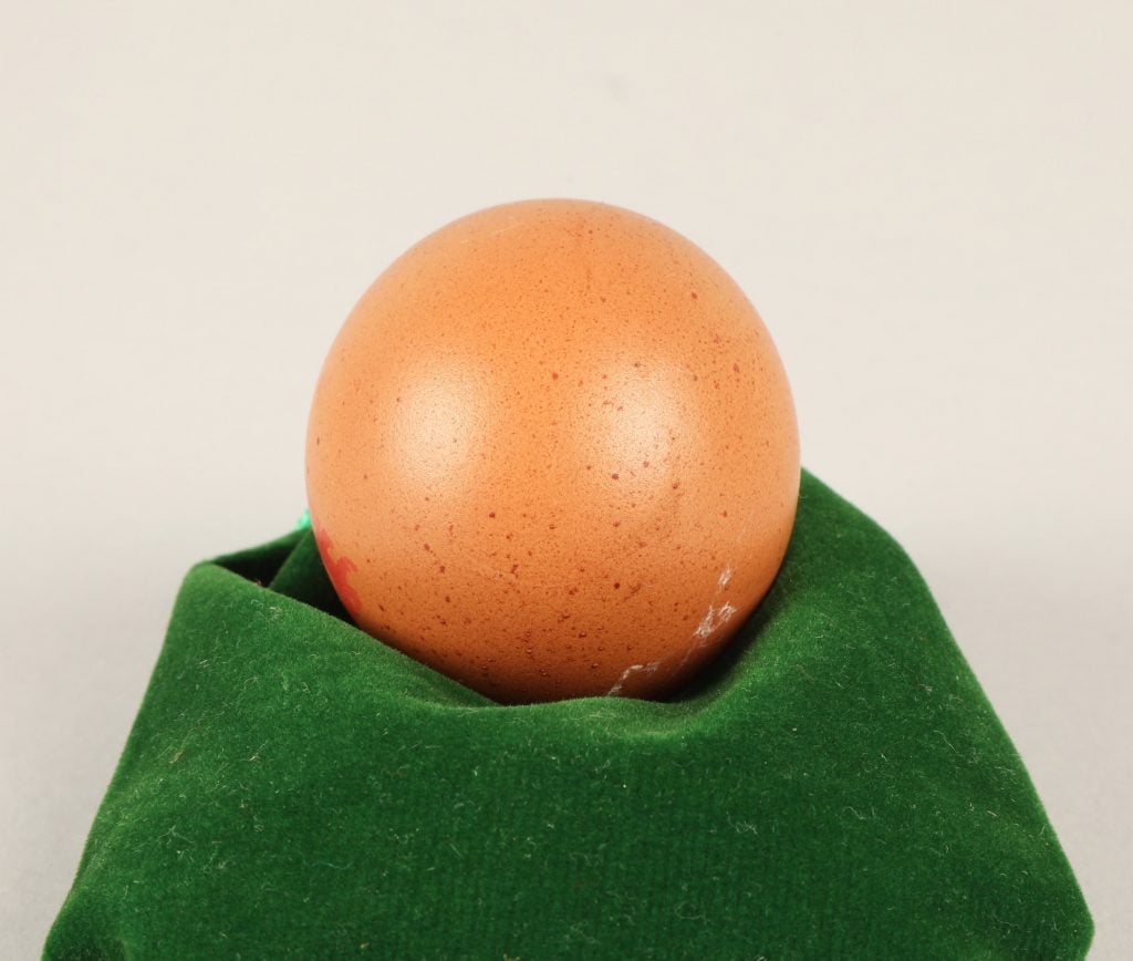 Perfectly round egg fetches S$340 at UK auction, proceeds aid mental ...