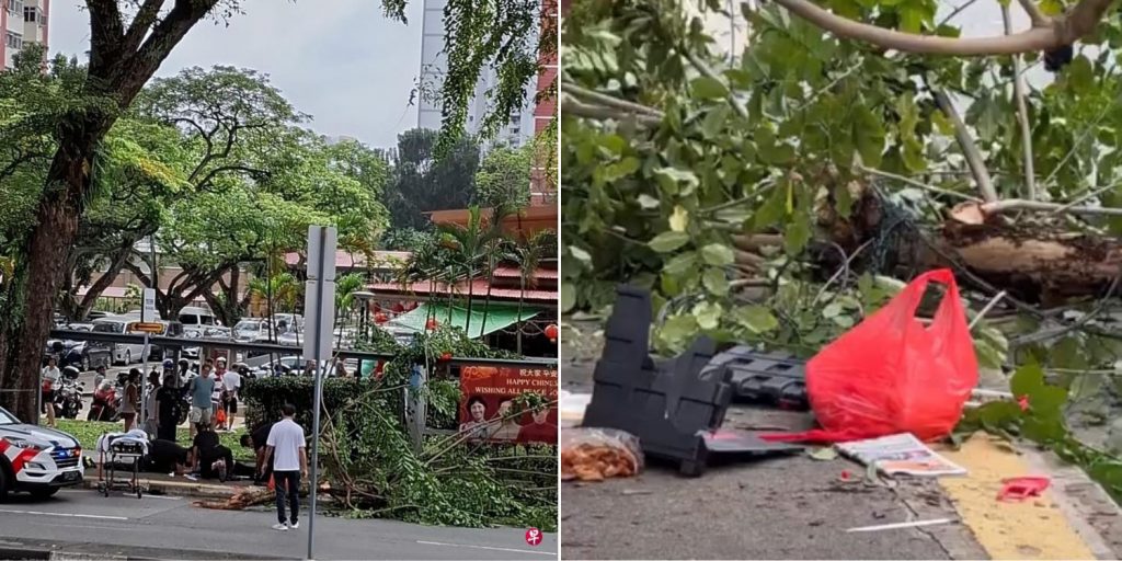 Woman hit by falling tree branch in Redhill sent to SGH, bloodied ...
