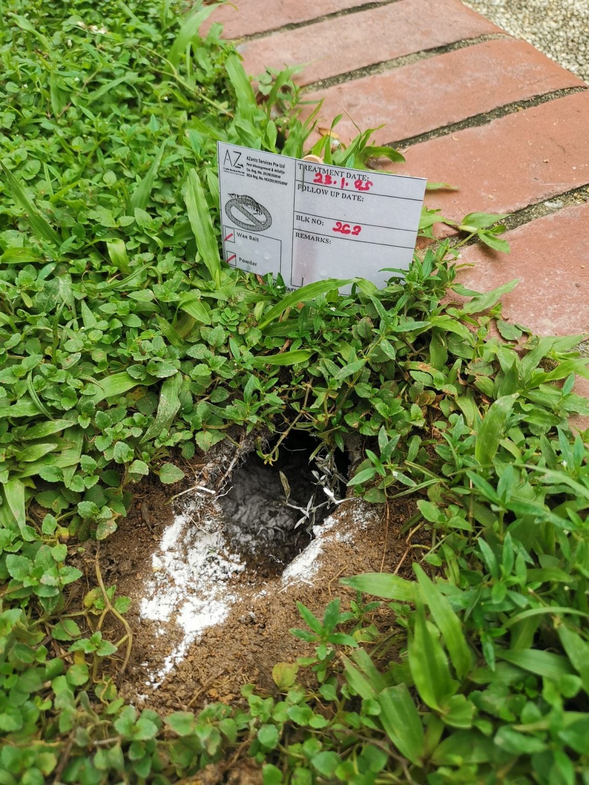 Dog walkers cautioned after rat burrows treated with poison seen at ...