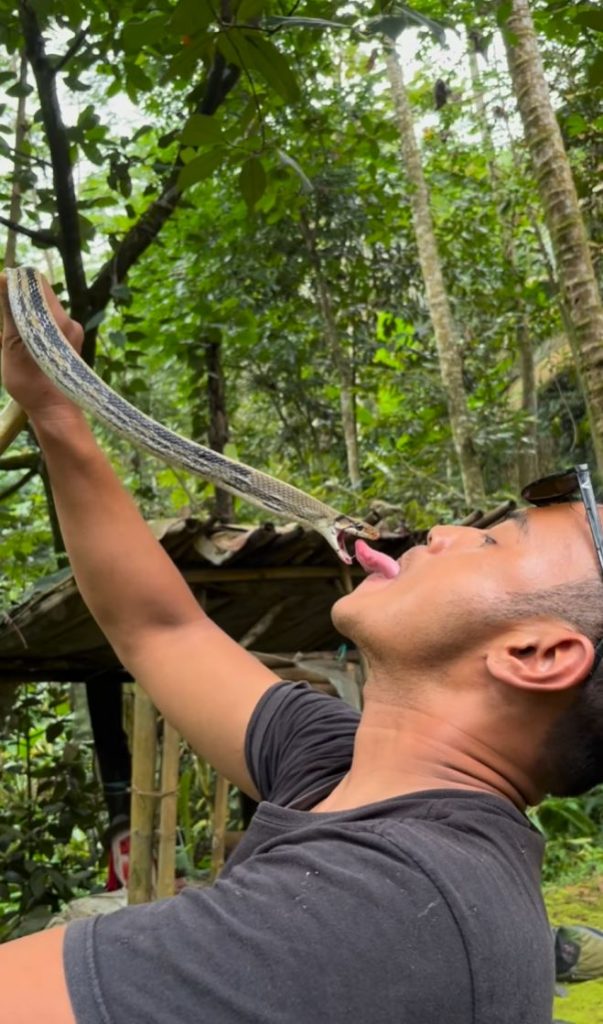 'Snake vs snake': Venomous snake bites influencer's nether regions ...