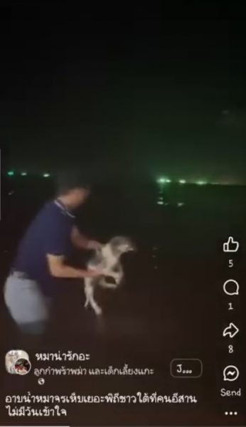 Man in Thailand repeatedly throws dog into sea in 2023 video, faces lawsuit