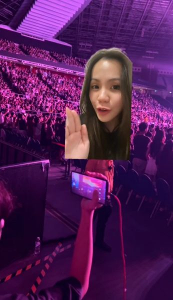 TikToker calls The Script concert in S'pore 'lame' as security forced ...