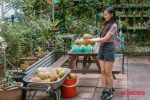 How Bukit Batok Cosy Garden is reinventing kampung spirit
