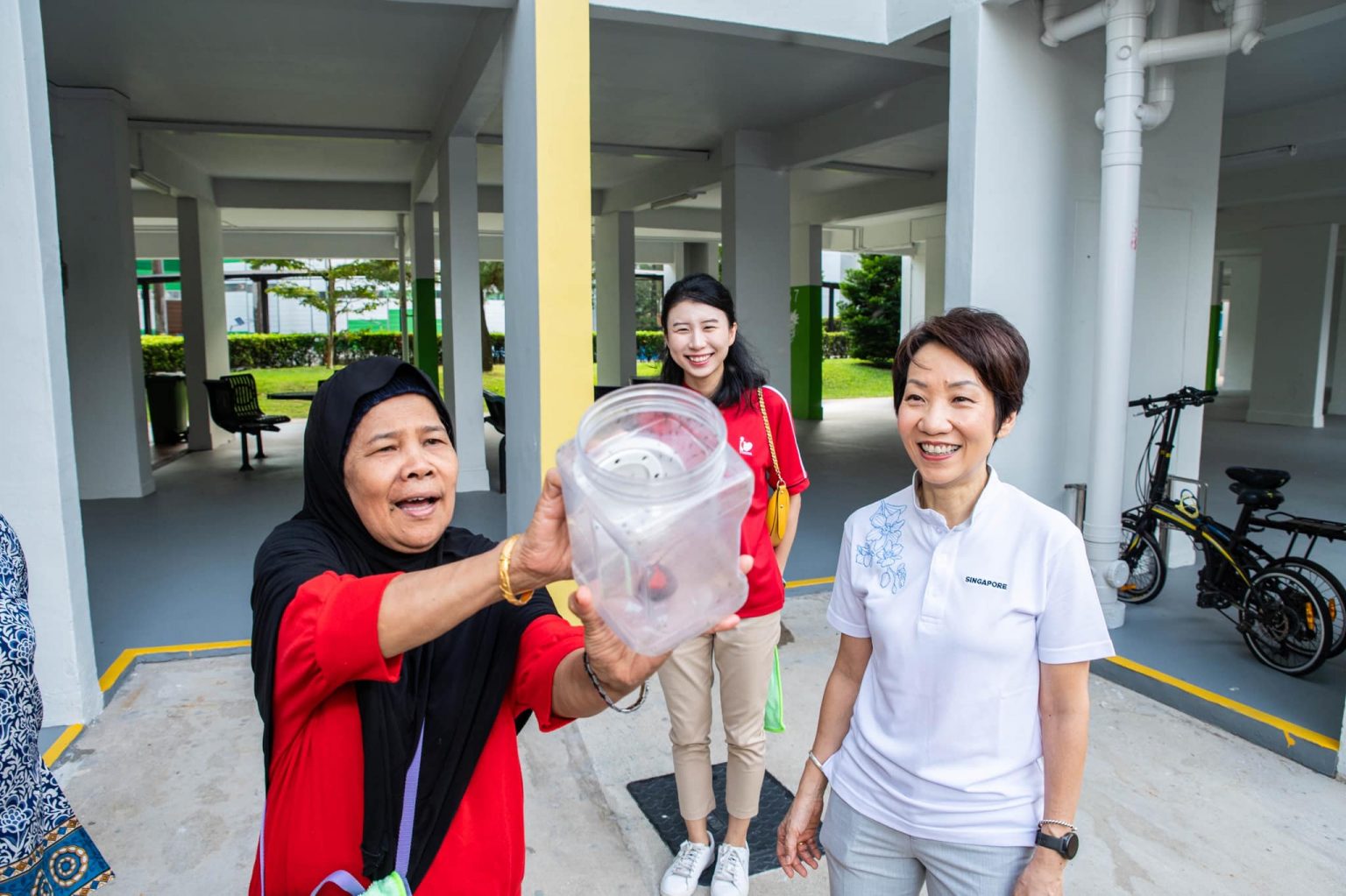 Grace Fu to lead PAP team in Jurong East-Bukit Batok GRC contest ...