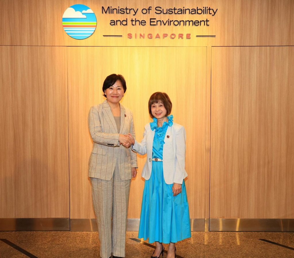 Amy Khor will not run for GE2025, PAP team contesting in Chua Chu Kang ...