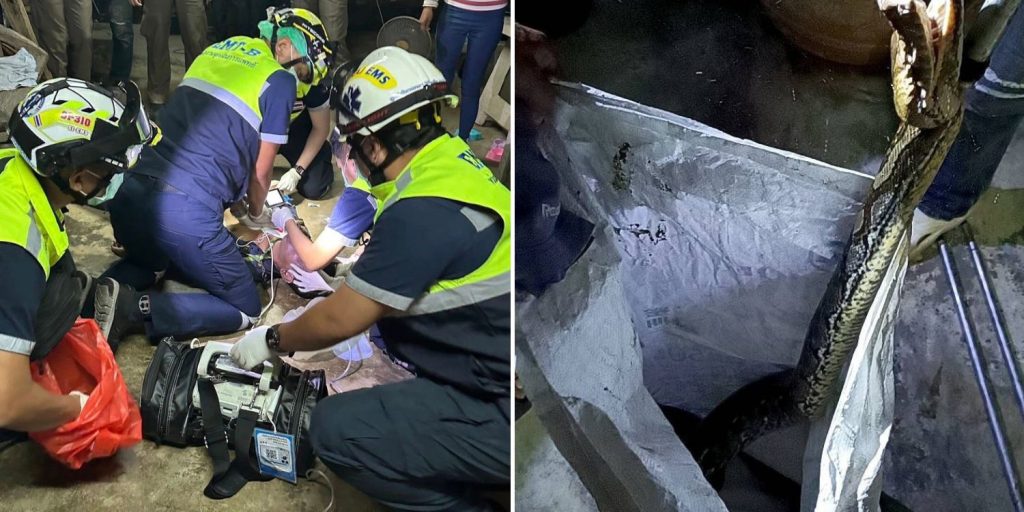 Rescuer in Thailand nearly strangled to death while trying to capture 4 ...