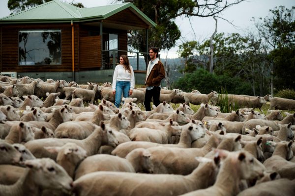 Tasmanian Winternship now open to Singapore applicants