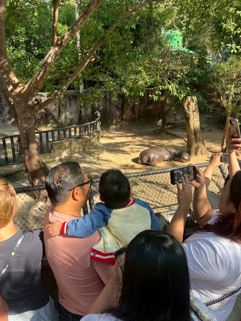 6-year-old boy in Thailand with terminal cancer passes away after ...