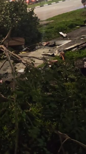 Tree in Hougang topples after collision involving 3 vehicles, debris ...