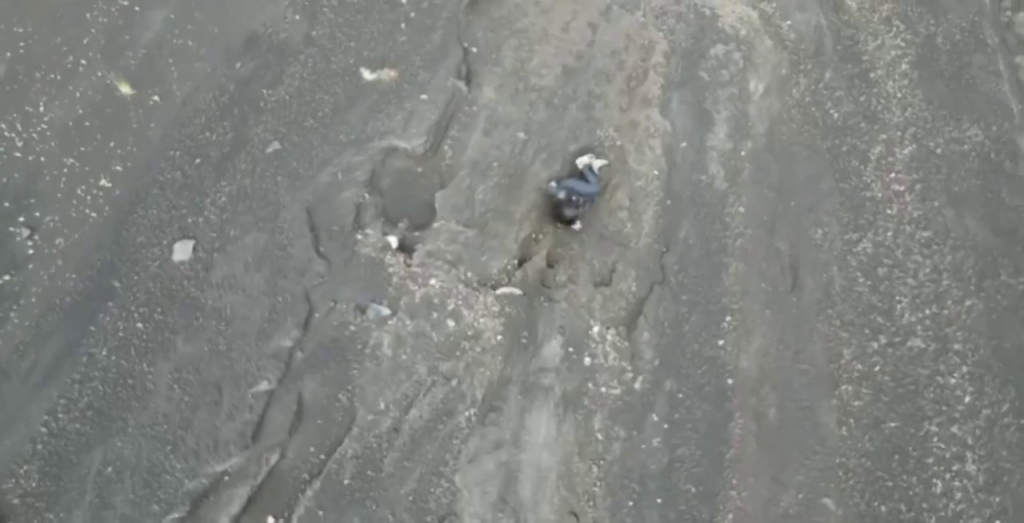 27-year-old Brazilian tourist dies after falling off Indonesian volcano ...