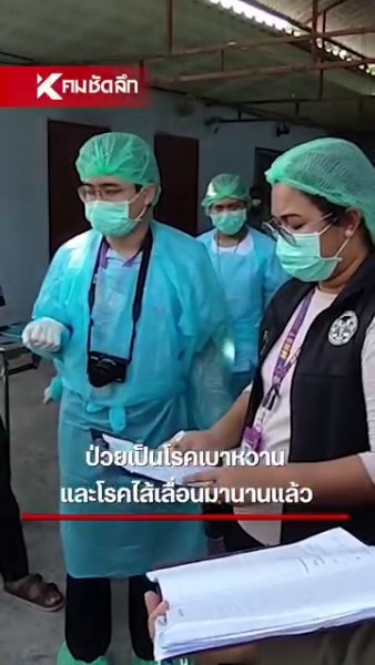Two dogs in Thailand guard over owner's body for 4 days after he died
