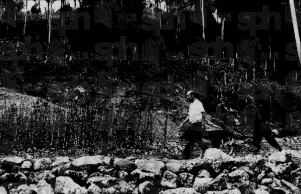 MS Unsolved: The mysterious disappearance of S’porean Thomas Yeo, who ...