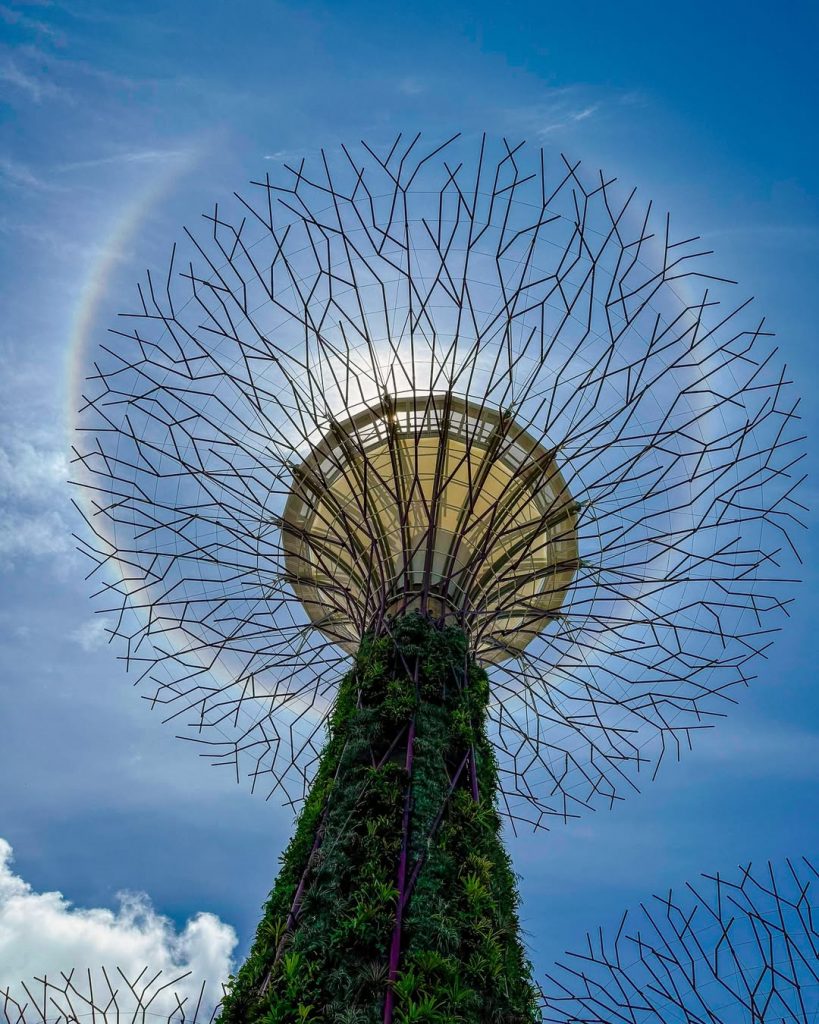 Stunning solar halo appears over S'pore, netizens share dazzling photos ...