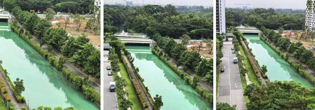 Yishun canal water mysteriously turns green & blue, NEA finds water ...