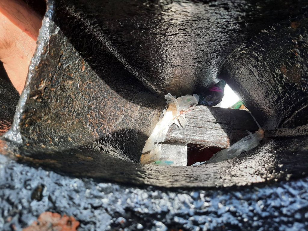 Large python found clogging water pump in Thailand following ...
