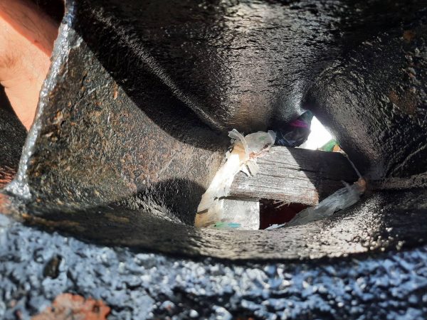 Large python found clogging water pump in Thailand following ...