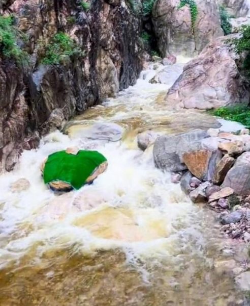Rock painted to look like giant python on China mountain scares ...