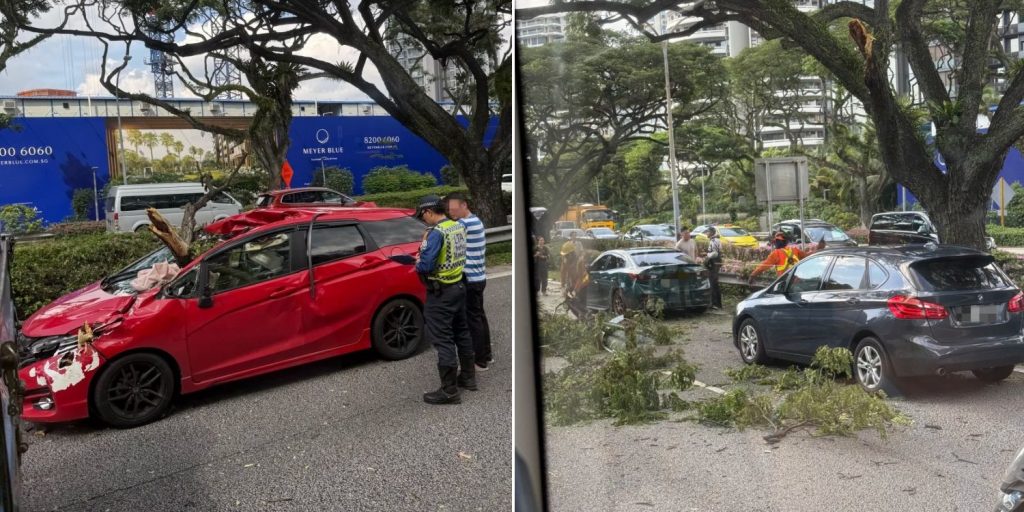 3 sent to hospital after tall vehicle hits tree branch along ECP ...