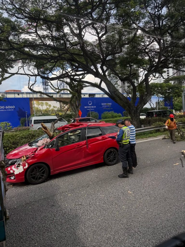 3 sent to hospital after tall vehicle hits tree branch along ECP ...