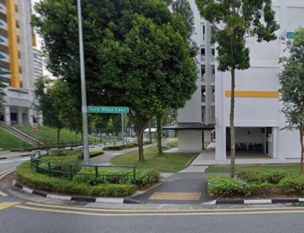 83-year-old woman dies after accident with car in Teck Whye, driver ...