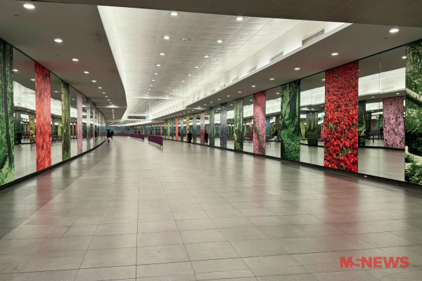 Mirrors at Bayfront MRT dance hotspot frosted, MBS says it's for ...