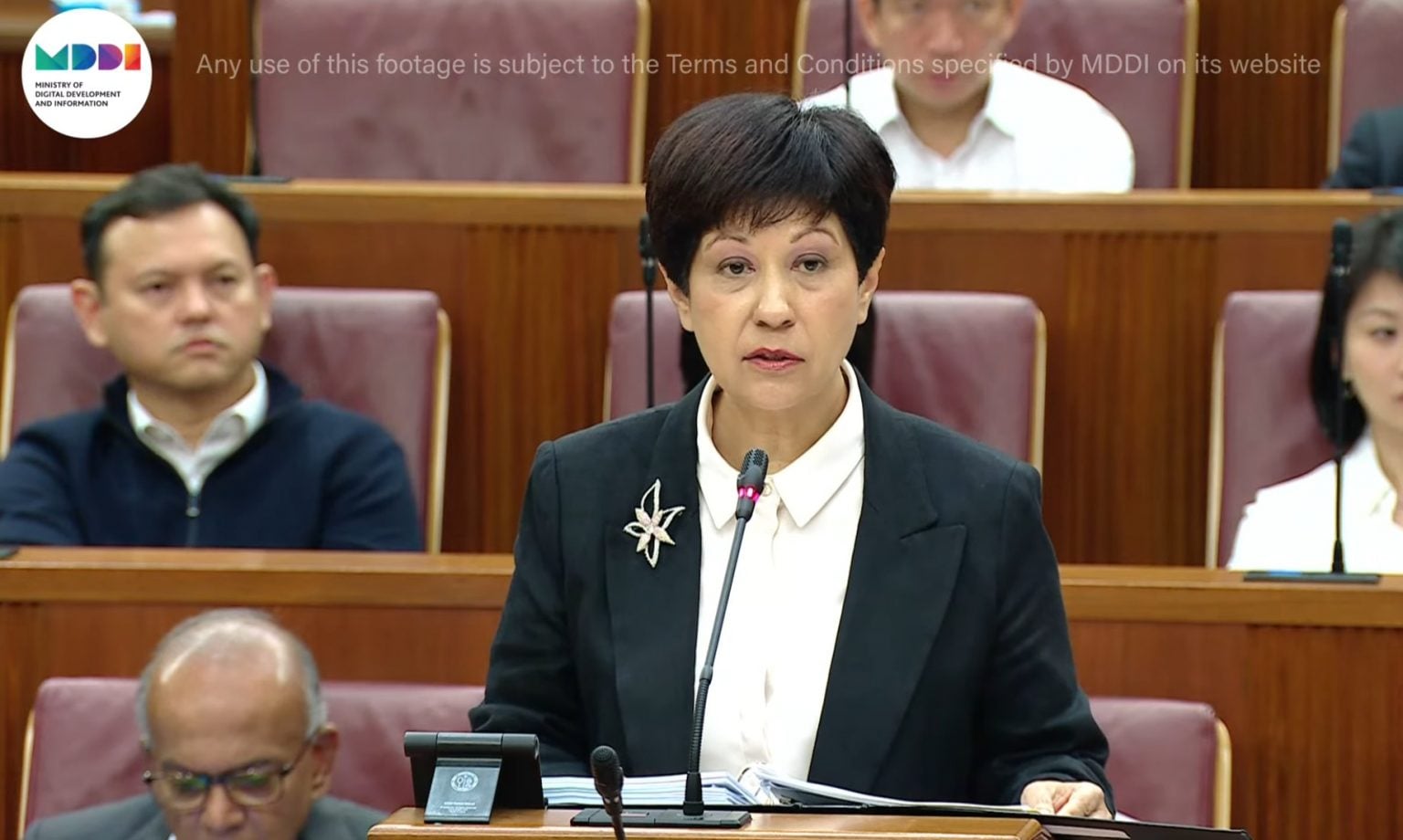 Former NMP Calvin Cheng says ruling party should not control ...