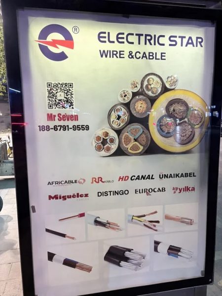 Netizen spots logo resembling PAP emblem on cable company ad in China