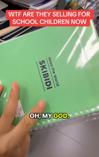 'Regressing as a nation': S'pore influencer questions sale of 'Skibidi ...