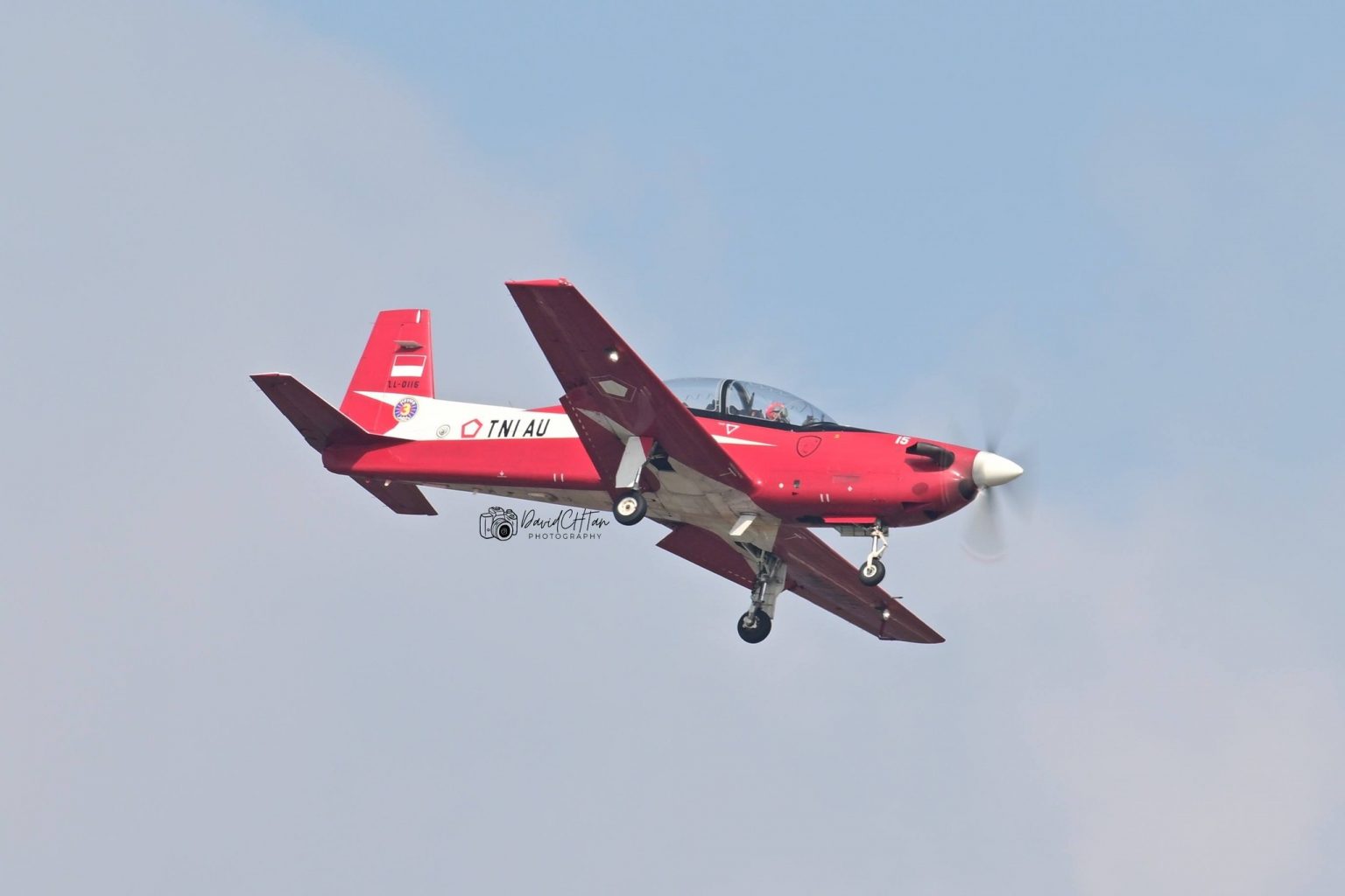 Flock of birds fly past landing plane at S'pore Airshow rehearsal ...
