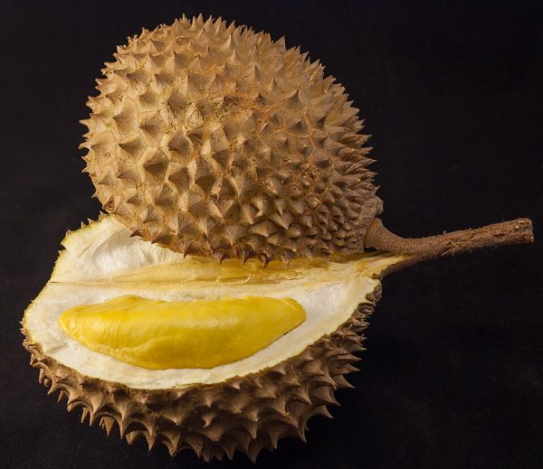 Customer calls Geylang durian seller 'dishonest' after being pressured ...